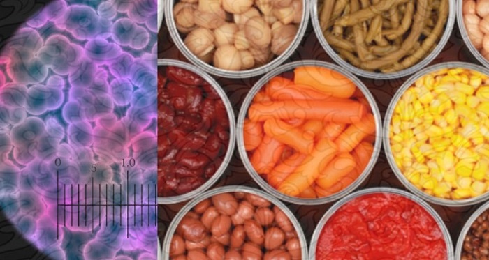 Infant and Adult Botulism: Its Causes and How to Prevent It - Scope Heal