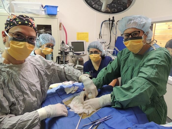 Calot's Triangle: Definition, Anatomy, Location, Clinical Significance ...