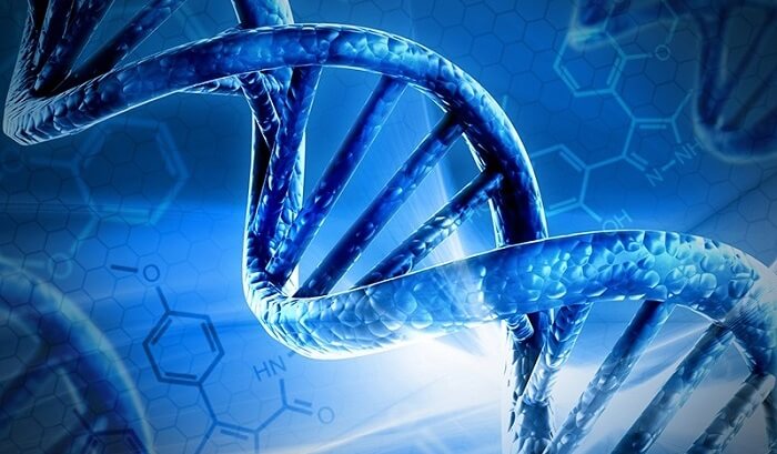 DNA Transcription: What is it? Process, Stages, Termination, Sequences ...