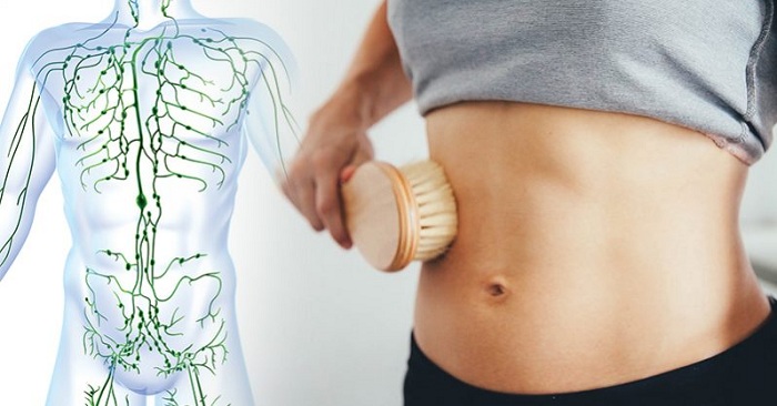 Lymphatic System: Definition, Types and Structure - Scope Heal