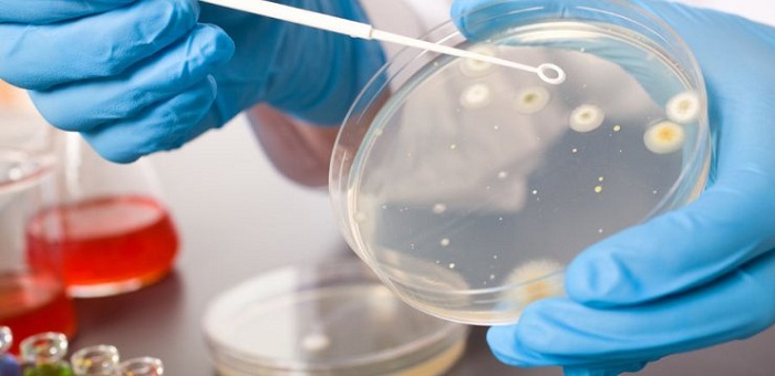 Microbiology: Microbes, Versatility, Microbiologists, Origin and Uses ...