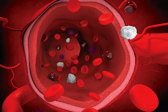 The Oncotic Pressure and Its Measures in the Pressure - Scope Heal