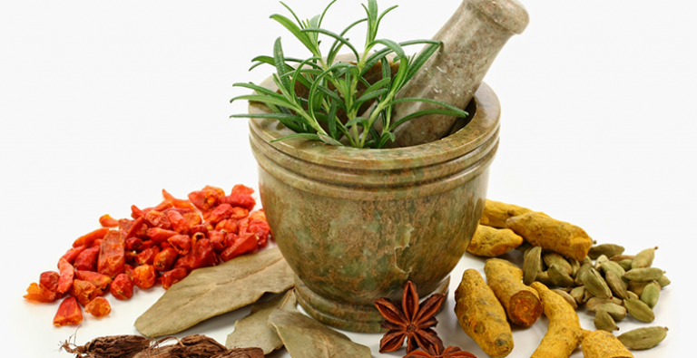 What is Phytotherapy and Its History: What is it? What is it for ...