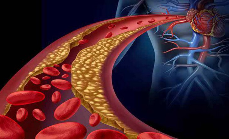 Sinusoids: Definition, Structure, Types and Functions - Scope Heal