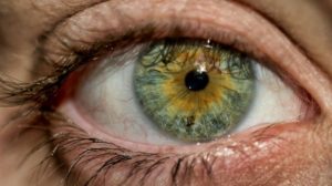 Vitreous Humor: Functions - Detachment, Tear and Retinal Hemorrhage ...