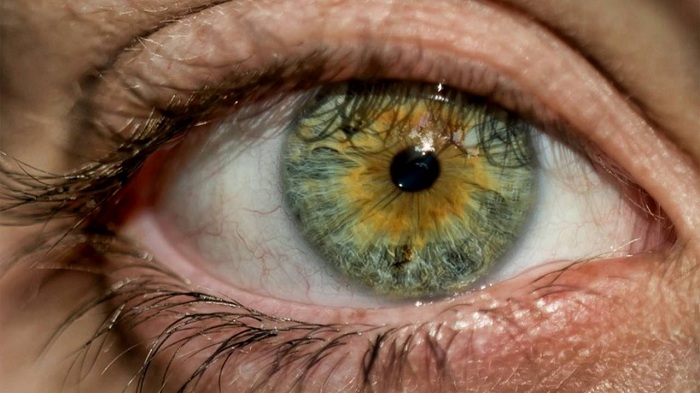 Vitreous Humor: Functions - Detachment, Tear and Retinal Hemorrhage ...