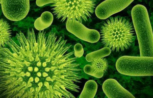 Bredelin: Uses, Indications and How to Manage it - Scope Heal