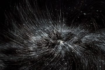 Pityriasis - Types: Rosea, Alba or Simple, Rubra Pilaris and Versicolor ...