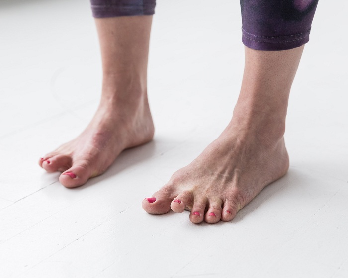 Arthrology: General, Examples Types and Classification - Scope Heal