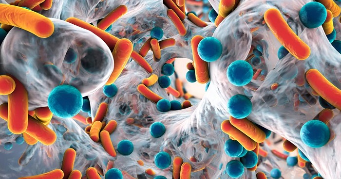 Cephalothin: Uses, Precautions, Side Effects, Contraindications and ...