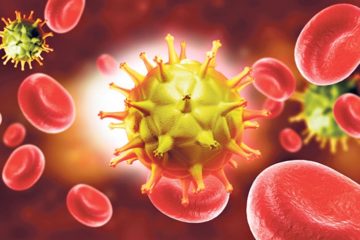 Immunomodulators - IM: Definition, Mechanism of Action and Secondary ...