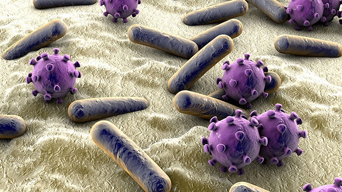 Chemoprophylaxis: What is it? Examples, Adverse Effects, Uses and ...