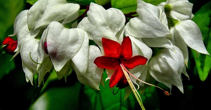 Defining Menorrhagia: Causes, Symptoms and Treatment - Scope Heal