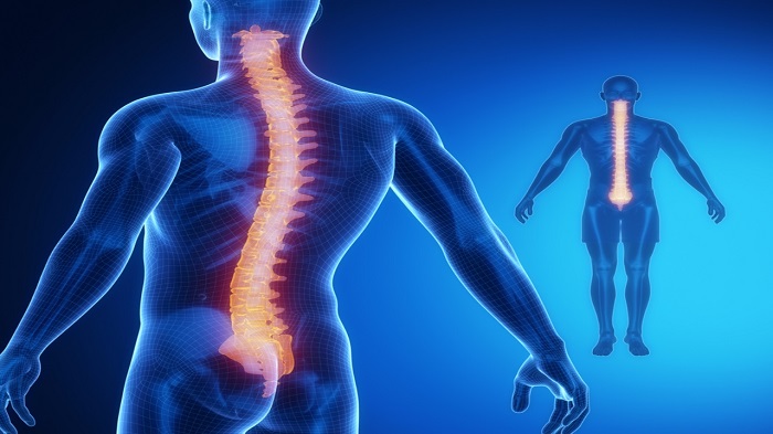 Pain in the Column: Structure of the Back, Causes, Symptoms, Treatments ...