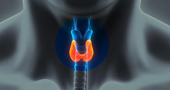 Propylthiouracil: Mechanism of Action, Dosage, Interactions, Side ...