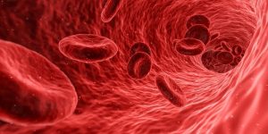 Hemoglobin: What is it? Function, Types, Normal Values and Thalassemia ...